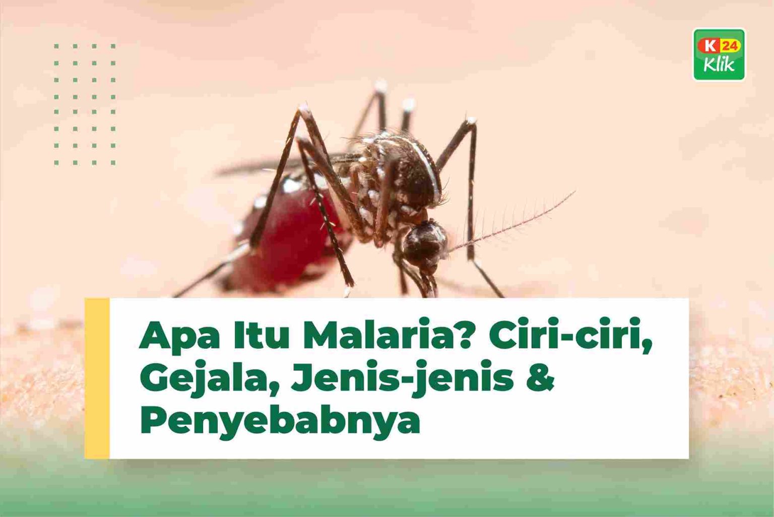 Info Kesehatan Archives - Page 2 of 91 - K24Klik