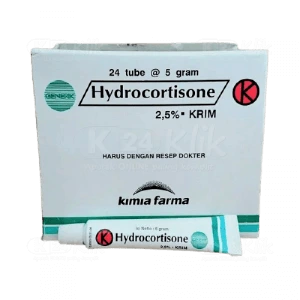 10 Obat Dermatitis di Apotek yang Ampuh - K24Klik